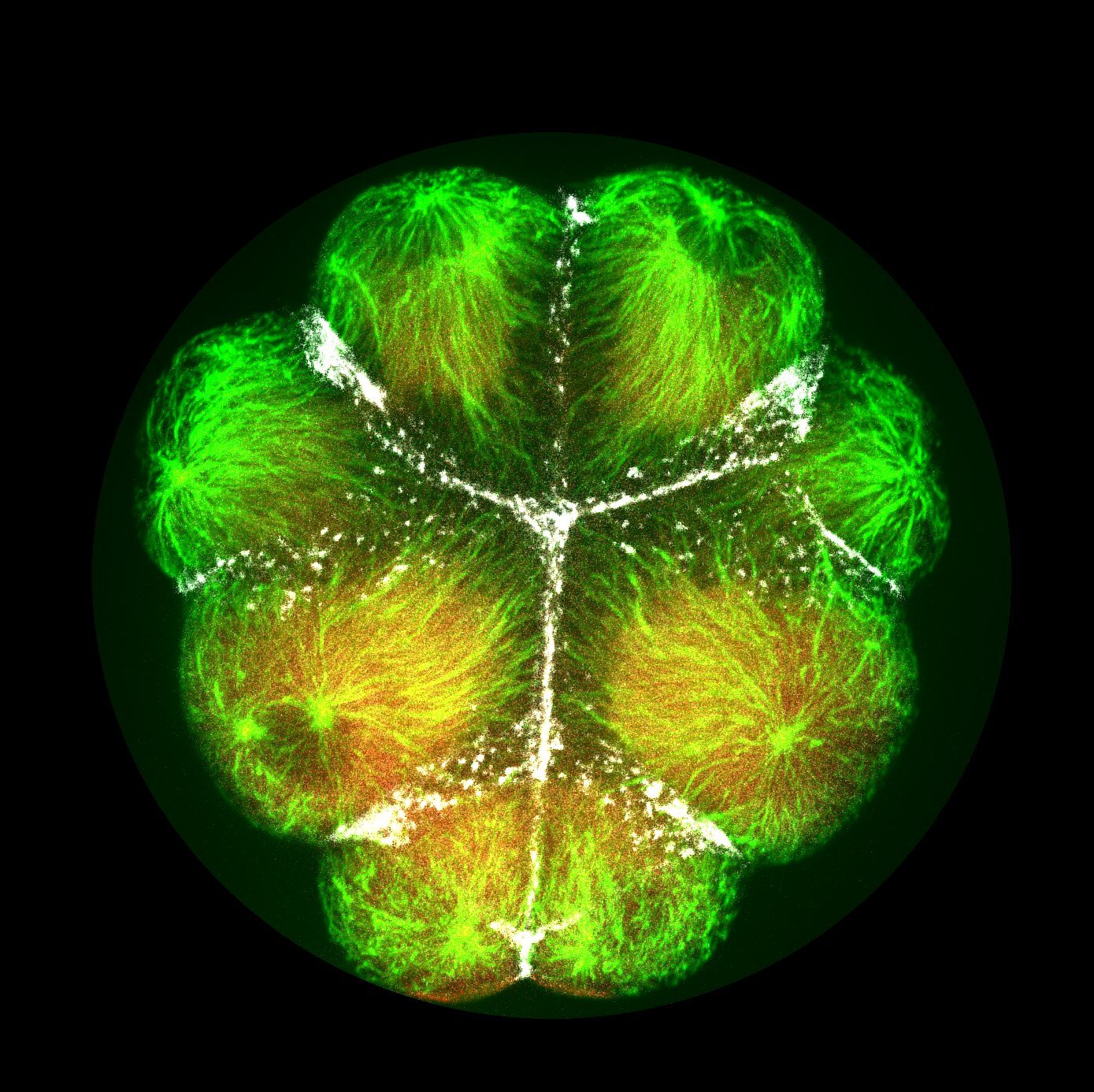 Gallery – HEISENBERG LAB